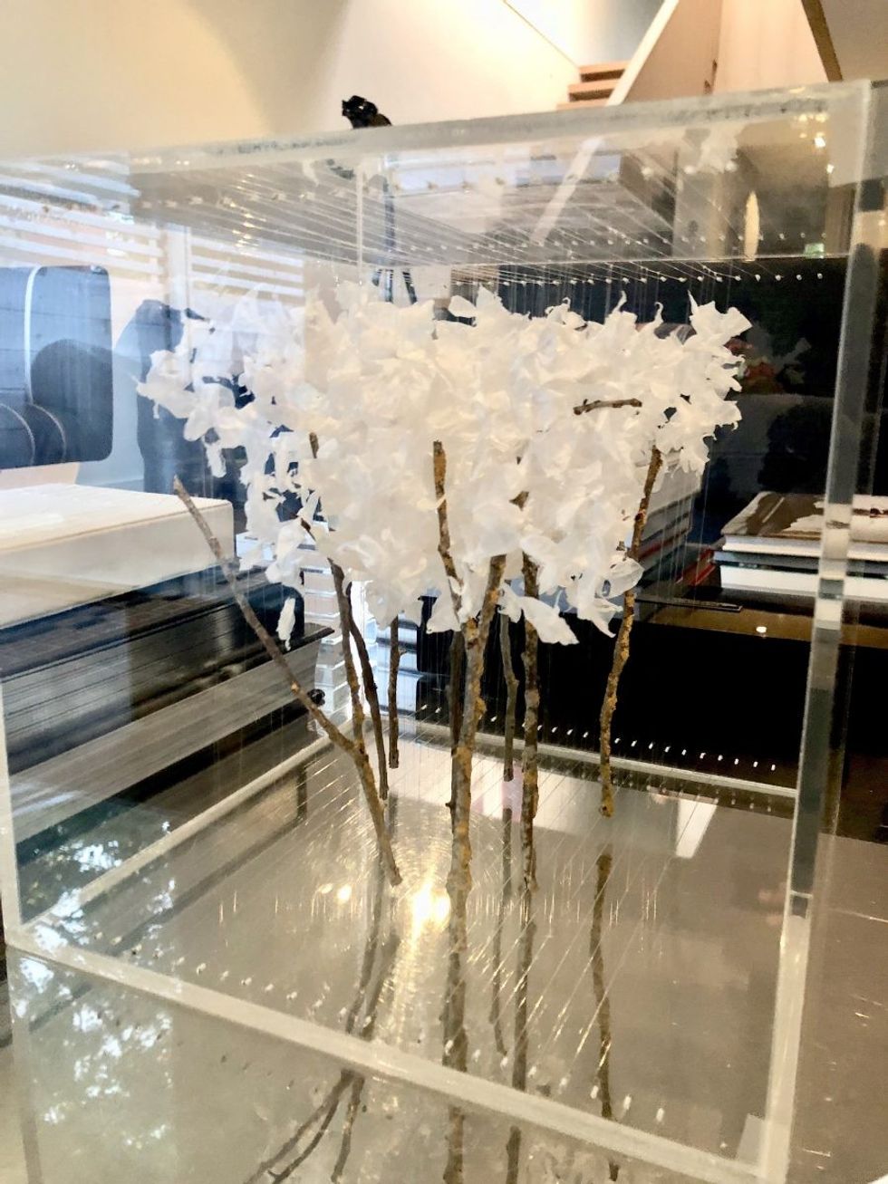 Entertaining Expert To The Stars, Sebastien Centner, Invites You Into ...