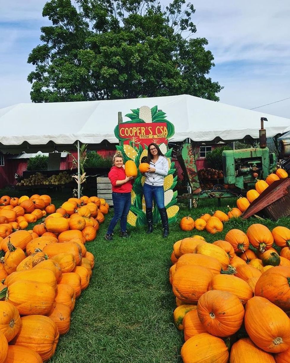 Here Are The Best Pumpkin Patches Near Toronto
