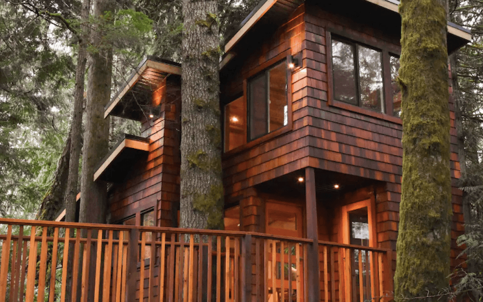 Carpenter's Dreamy Treehouse Sparks a Demand for Elevated Retreats